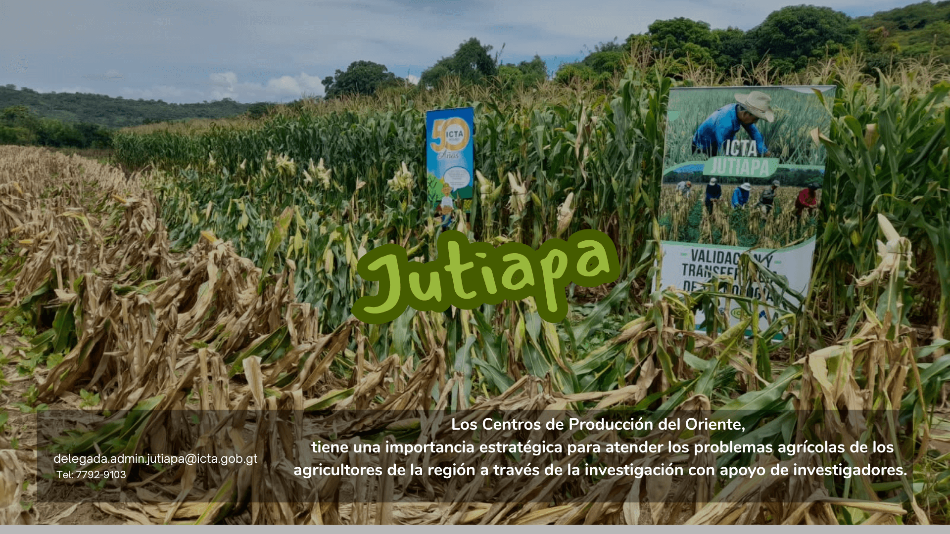Instituto de Ciencia y Tecnología Agrícolas ICTA