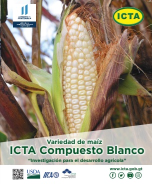 Instituto de Ciencia y Tecnología Agrícolas ICTA